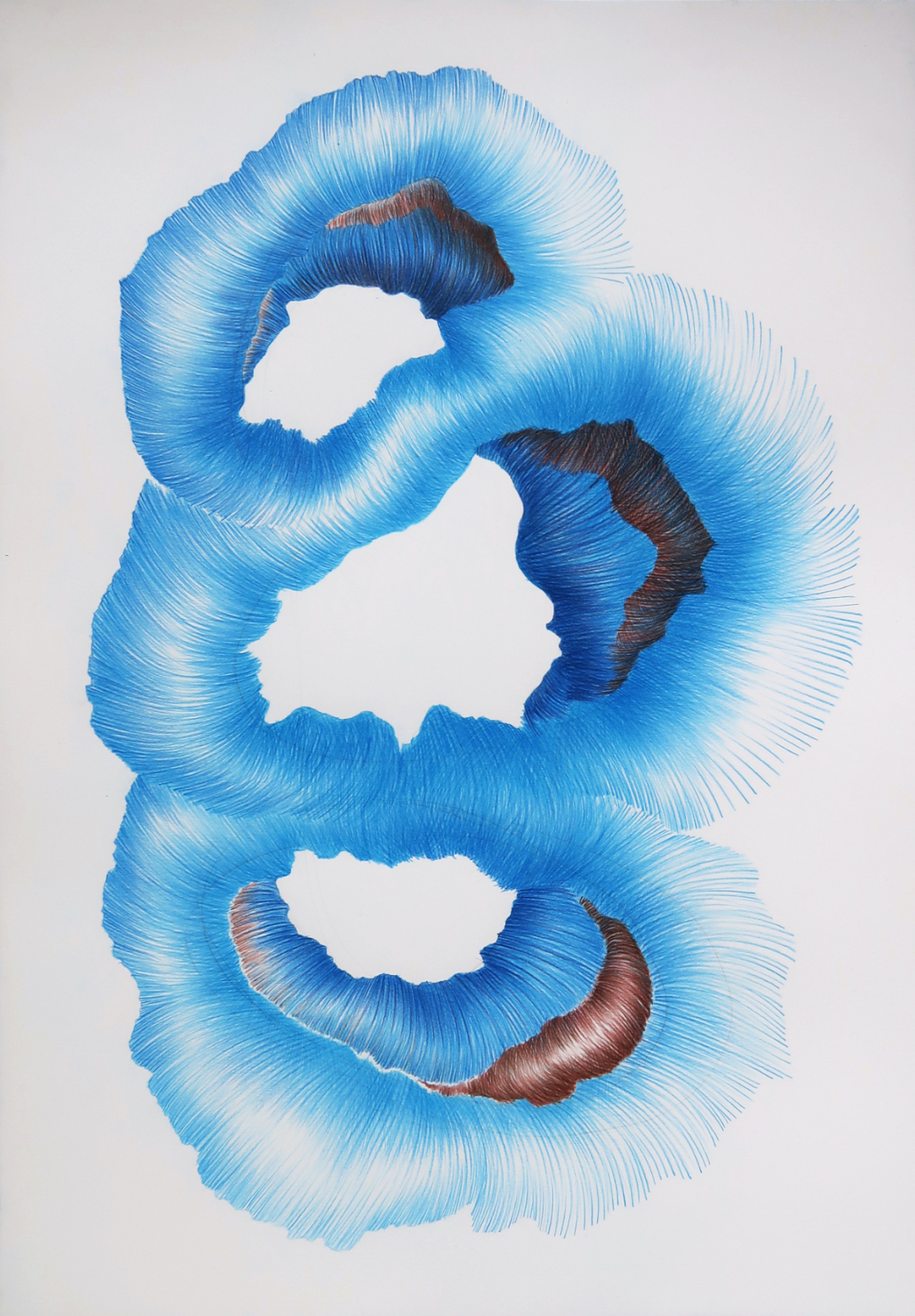 Blue Morpho — Iris Bouwmeester