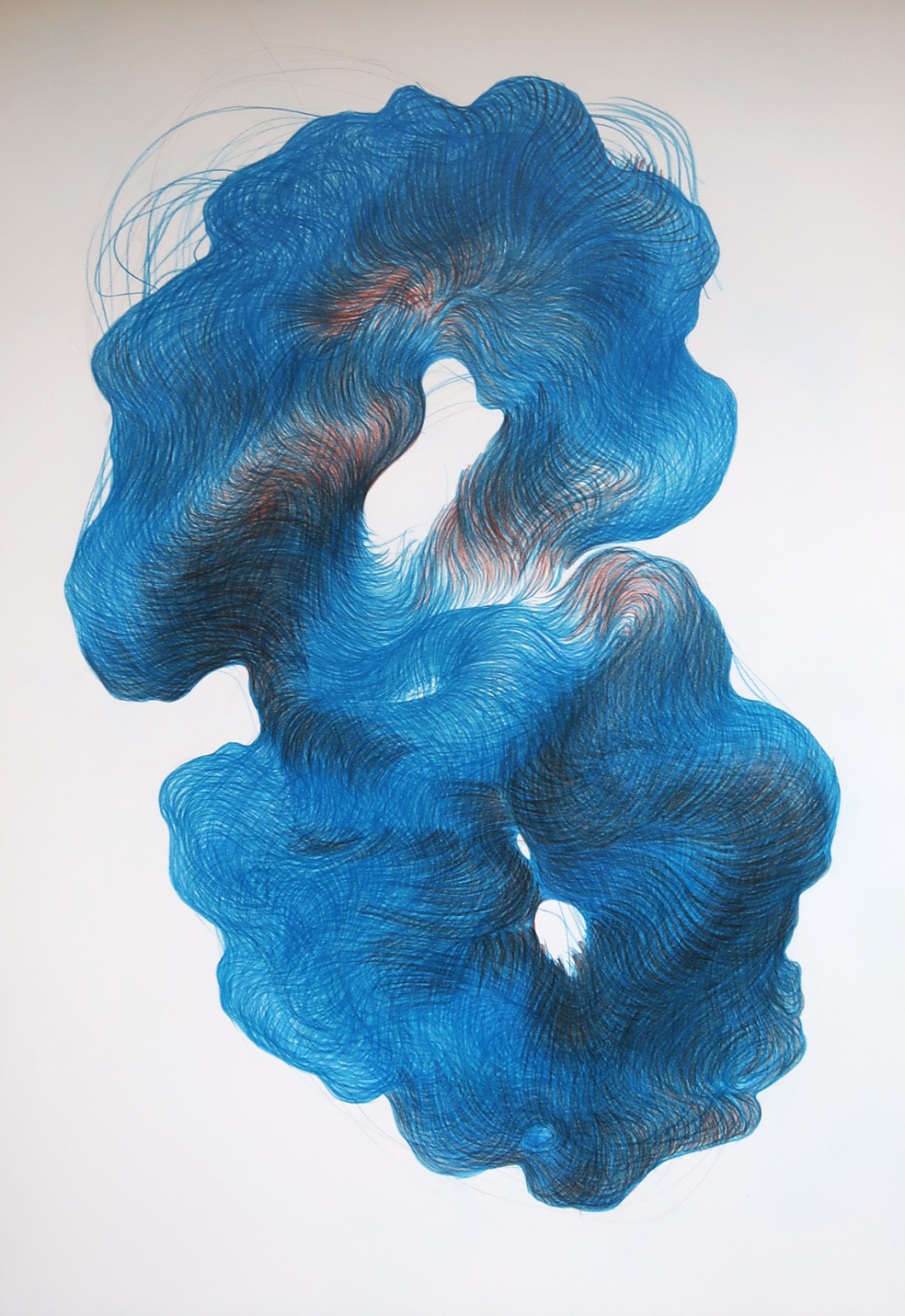 Blue Morpho — Iris Bouwmeester